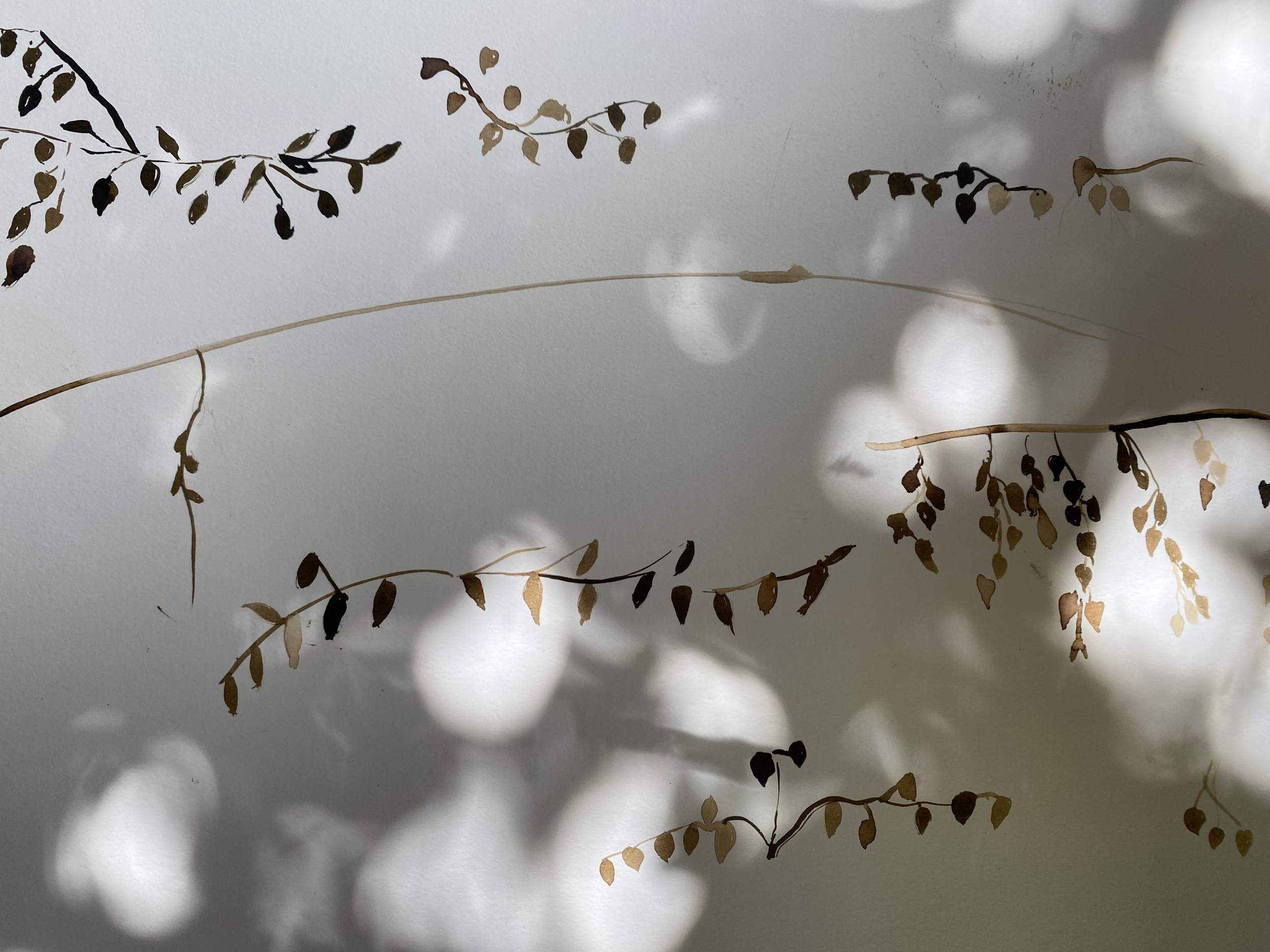 Emma-Britton-Silver-Birch-Glassware-Design - Emma Britton - Emma Britton