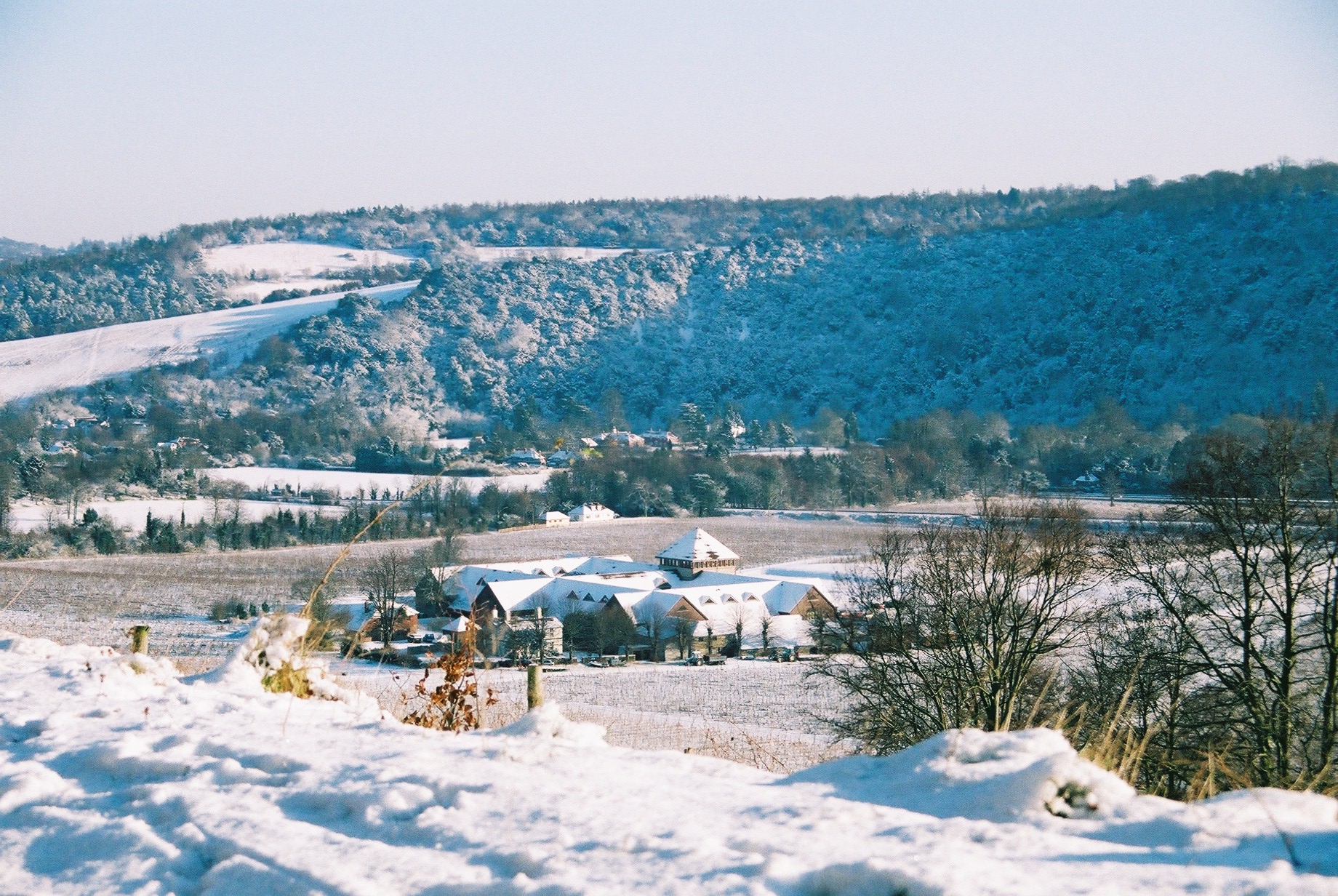 Denbies Wine Estate: Christmas Drinks Picks for Emma Britton Glassware ...